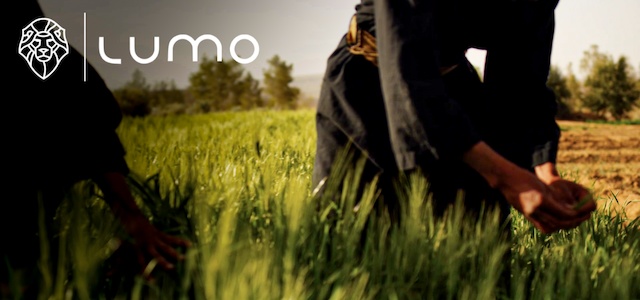 LUMO - Mark 3:20-4:41 | Jesus Film Project