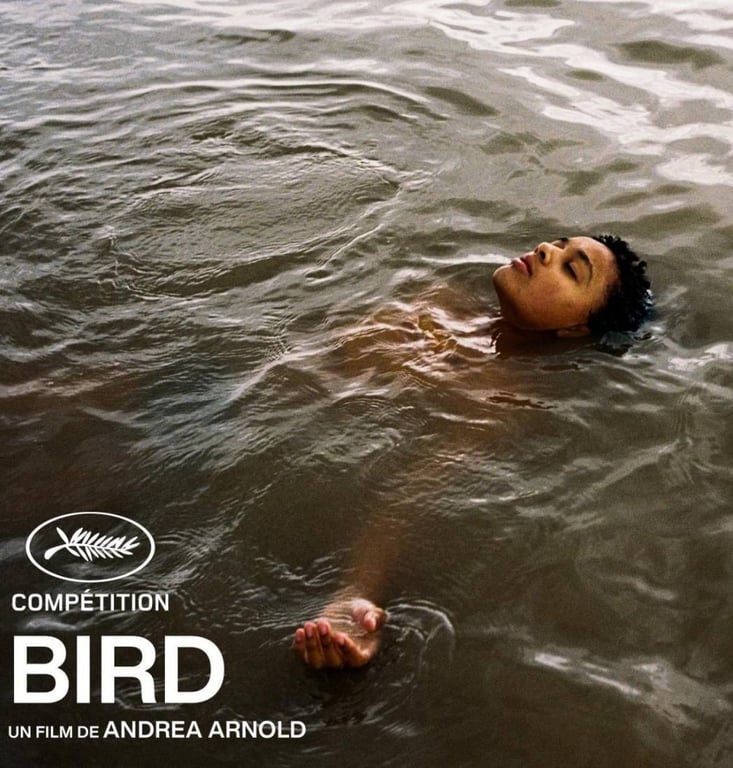 Entradas para Sala Fernando Rey - ESTRENOS EN V.O.: BIRD de Andrea Arnold