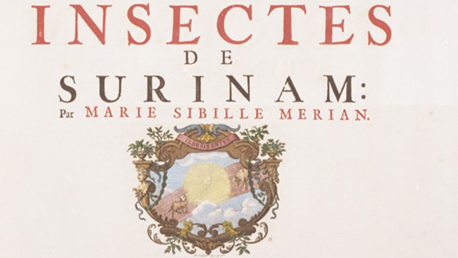 A woman of science and art - Maria Sybilla Merian | The Box Plymouth