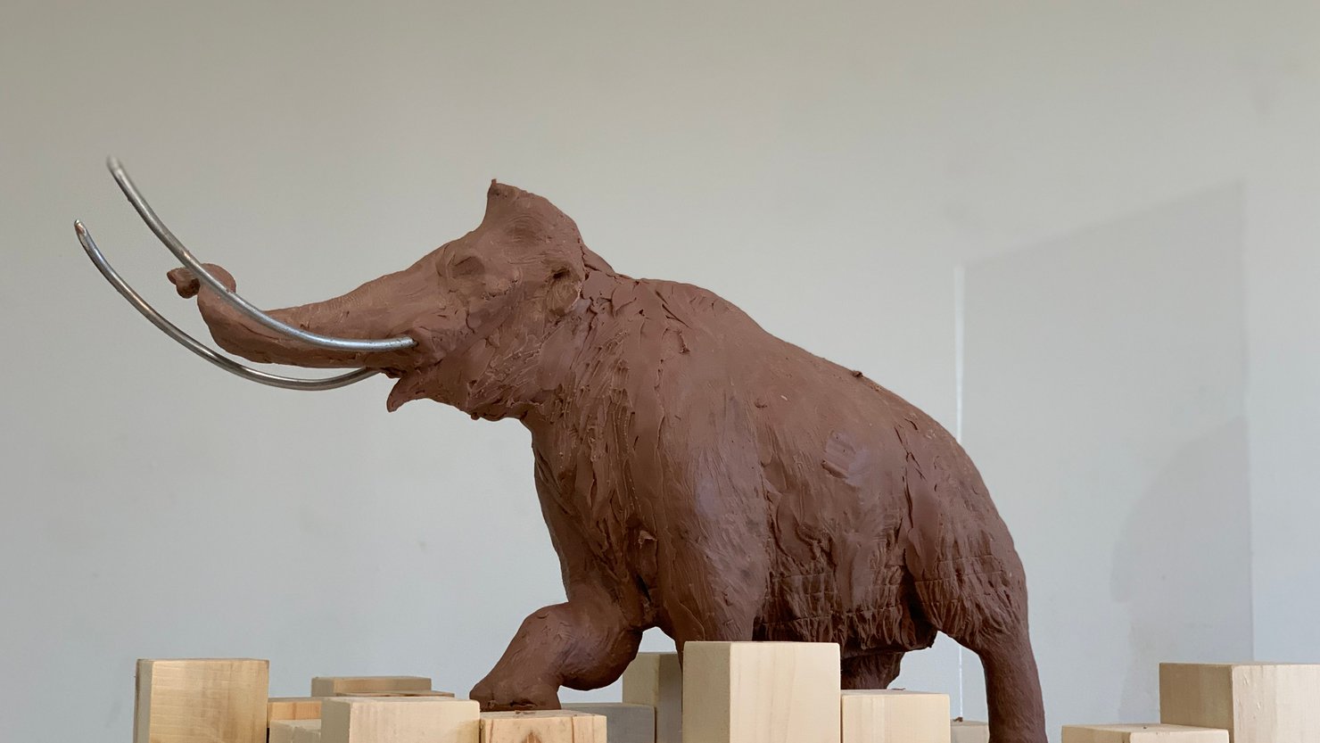 A mammoth moment for The Box | The Box Plymouth