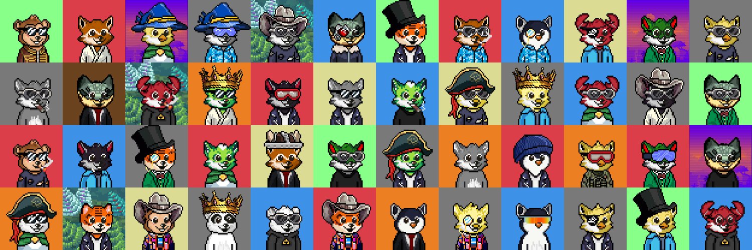 Eclipse Cat Business X Surge Alpha-WL • Surge Alpha • Alphabot • Alpha ...