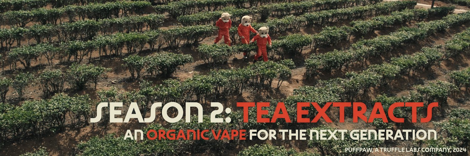 KOR Protocol x Puffpaw | KOR Protocol | Alphabot - Alpha Made Easy