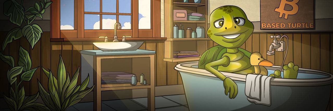 Based Turtle Wgba Alphabot Alpha Made Easy