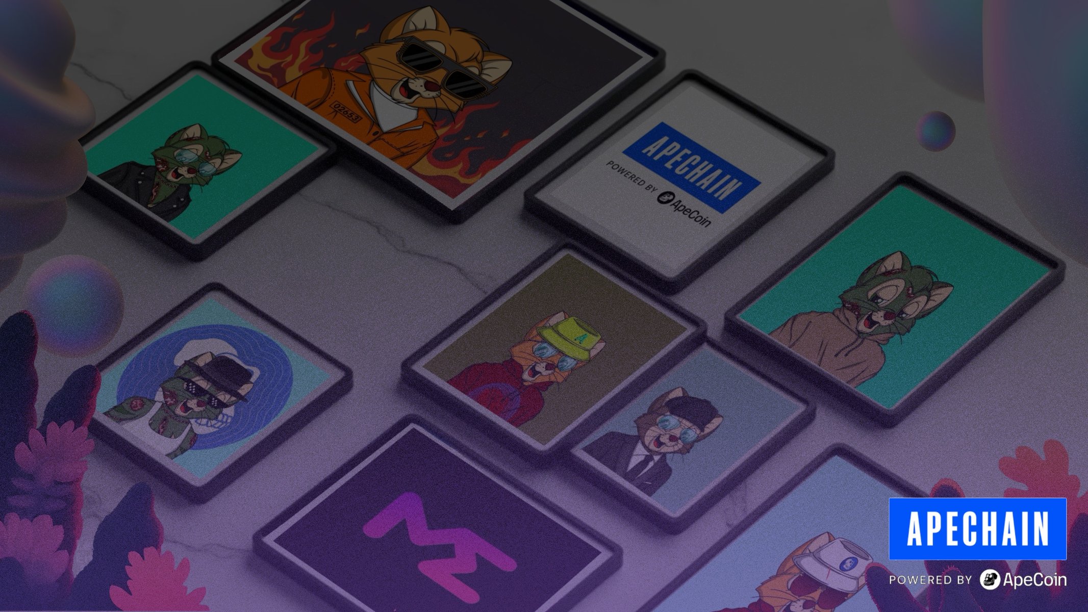 Meow City | Embassy | Alphabot - Alpha Made Easy