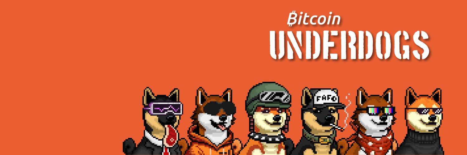 The UNDERDOGS WL x NorthBound | NorthBound • Alphabot • Alpha Made Easy