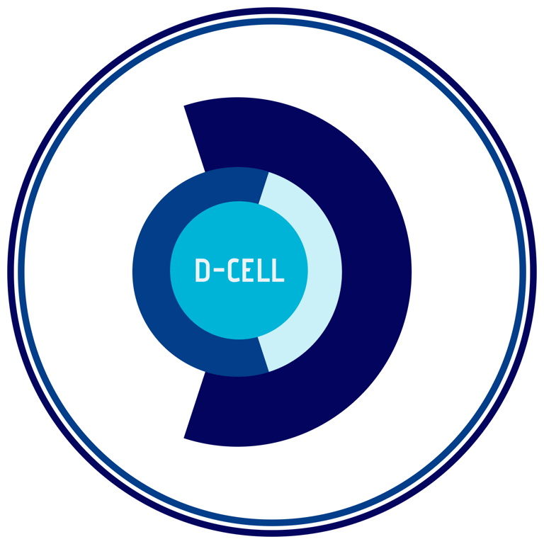 Development Cell