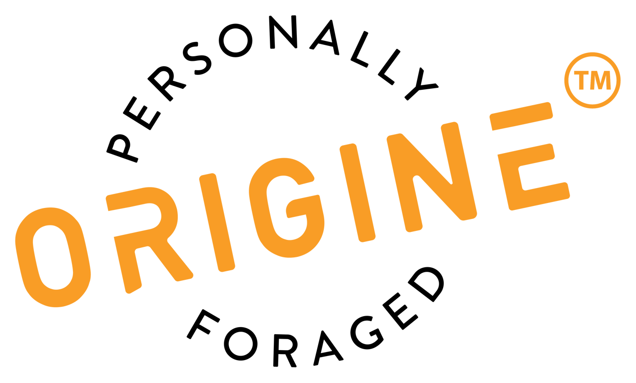 Tripper : Pioneers of Indonesian Organic and Sustainable Spices