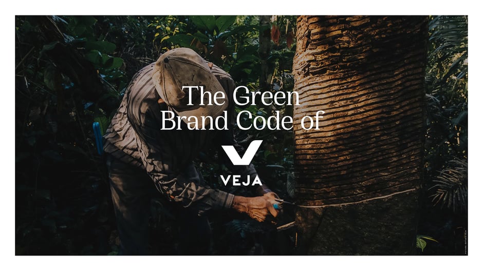 Examples in Green Brand Code — Building a Brand Like VEJA — Deck.gallery