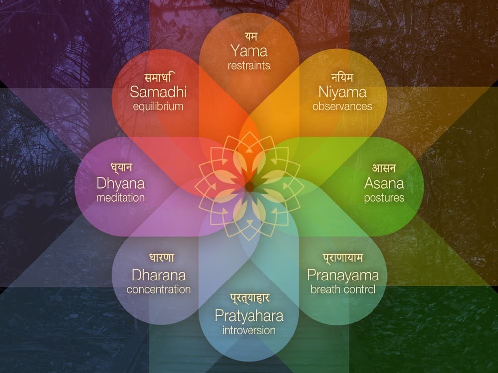 The 8 Limbs of Yoga: A Beginner's Guide to Patanjali's Path