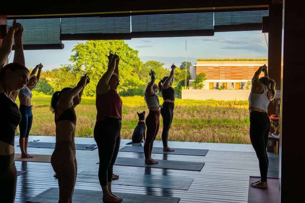 100 Hour Yoga Teacher training Qualification Refresher Bali