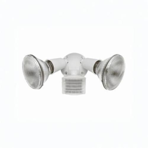 RAB Luminator® LU300W Floodlight Kit, (2) PAR38 Incandescent Lamp, 300 ...