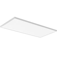 Lithonia Lighting® CPANL 2X4 40/50/60LM 40K M2 Switchable Lumen Flat ...