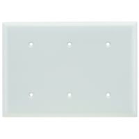 Pass & Seymour® Sierraplex® SP34-W Standard Blank Wallplate With ...