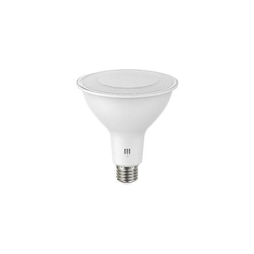 RAB PAR38FA-19-9CCT-40D-DIM PAR Lamp, 19 W, 150 W Incandescent ...