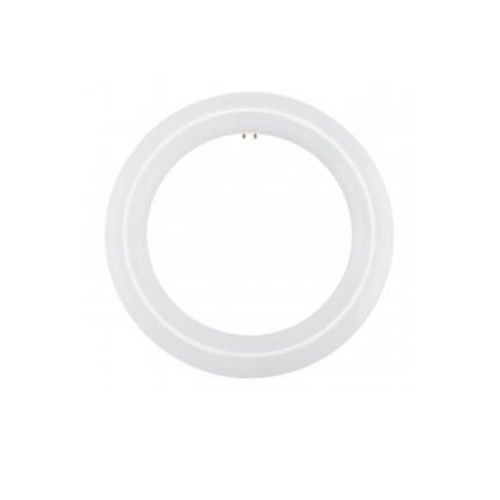 SATCO® S16501 Type-B Non-Dimmable Replacement Circline Fluorescent Lamp ...