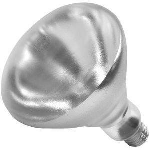 Shat-R-Shield® Westinghouse 01697W Shatter-Resistant Incandescent Lamp ...