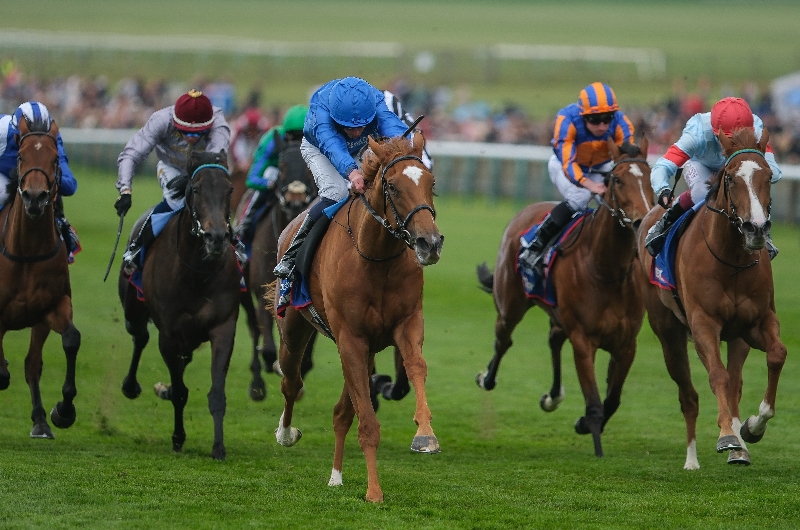 1000 Guineas 2026 Runners: Full Line-Up, Jockeys & Draw