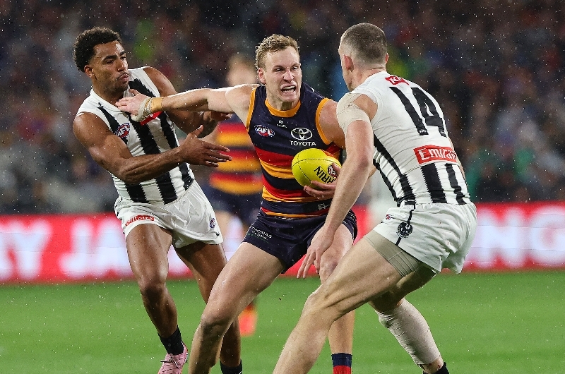 Adelaide Crows vs Collingwood Magpies Tips & Preview - Crows to edge ...