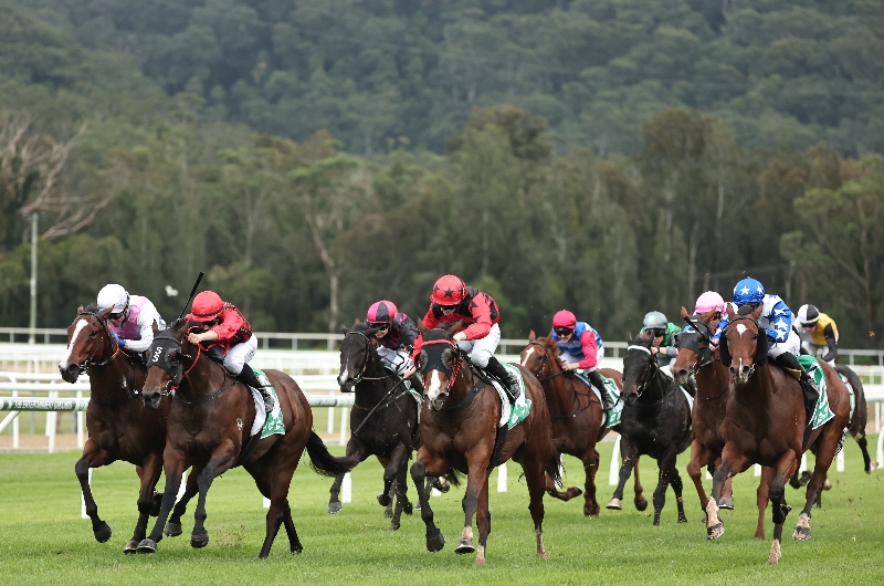 Dubbo Racing Tips for February 2 - Vicious Rumour can break through today