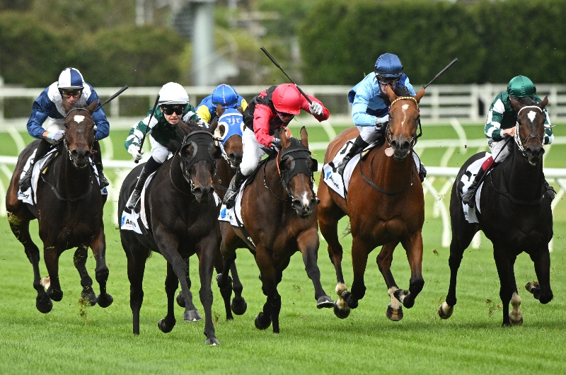 Pinjarra Racing Tips for April 15 - Queen Aria can win, down in grade today
