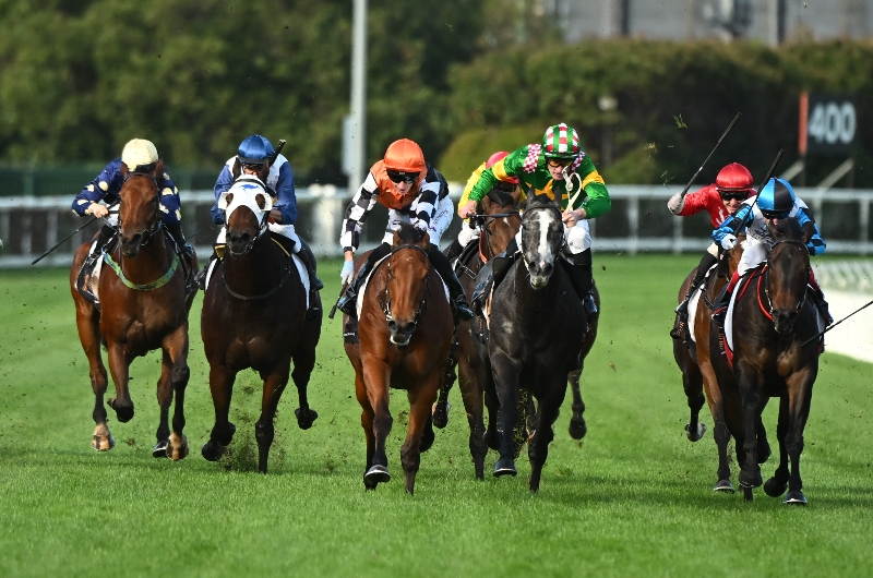 Belmont Racing Tips for May 16 - Acorn is drawn for win number three