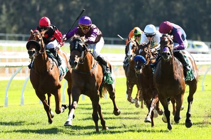 Port Macquarie Racing Tips for May 18 - Storm Merchant is drawn to win ...