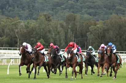 Quirindi Racing Tips for February 20 - Andale Andale looks the goods ...