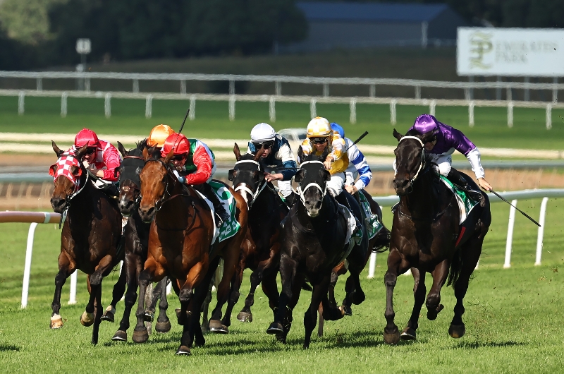 Gilgandra Racing Tips for January 4 - Instead is set for back-to-back ...