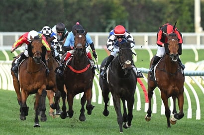 Pinjarra Racing Tips for July 9 - Thermosphere Lad can win, 3rd-up today