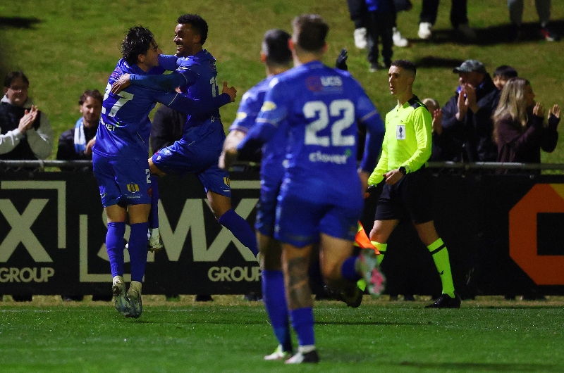 Avondale FC vs Brisbane City Tips & Predictions - Avondale to progress ...