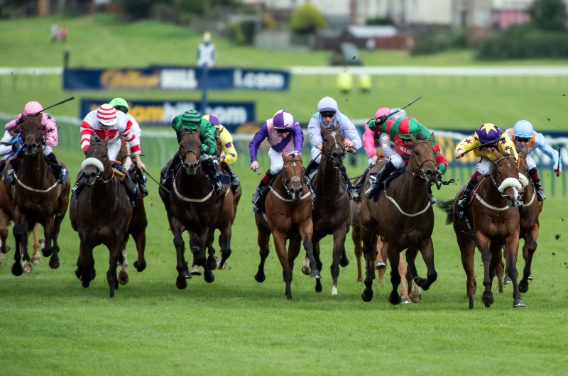 2025 Ayr Gold Cup Tips | Odds, Trends and two Final Selections