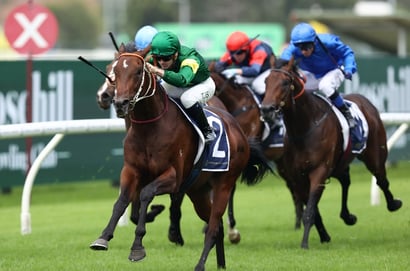 Free Horse Racing Tips | Expert Tips & Today's Best Bets