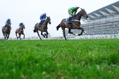 2026 Clarence House Chase Live Stream | Watch the Ascot race online