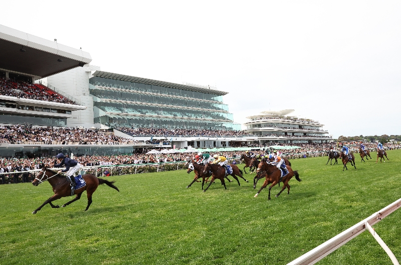 Victoria Derby Day 2025 Fields & Barrier Draws | Flemington Group 1 Races