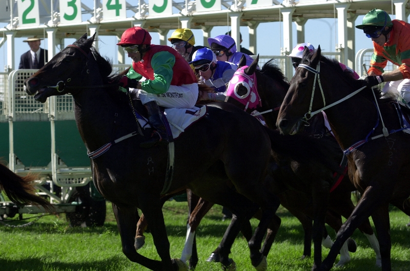 Doomben Racing Tips for January 14 - Dominant Darcy is drawn to win again