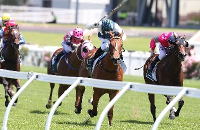 J J Atkins Tips - Cool Archie to make it five from five with victory in ...