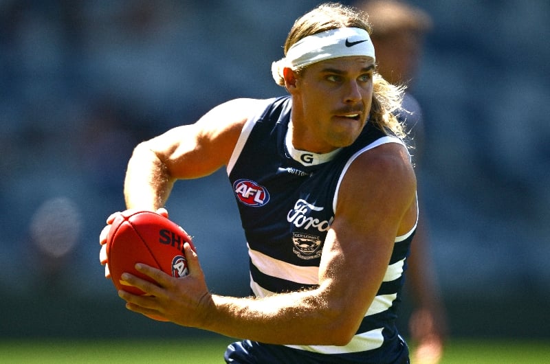 Geelong Cats AFL 2025 Team Preview, Predictions & Player Movement