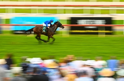 Geelong Racing Tips for August 8- Promising three-year-old ready to win ...