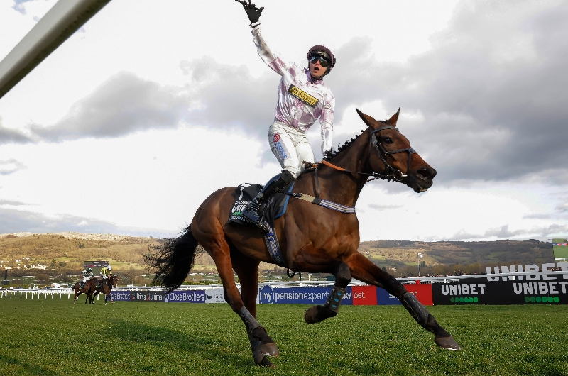 2025 Fighting Fifth Hurdle Result | Golden Ace causes another shock as ...