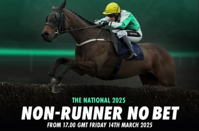bet365 go Non-Runner No Bet on the 2025 Grand National