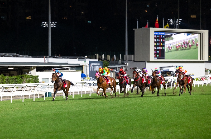 Happy Valley Tips on January 14th - Purton to finish a Perfectday