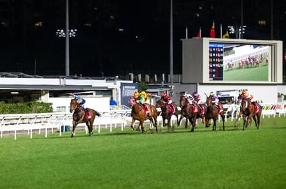 Happy Valley Tips on January 14th - Purton to finish a Perfectday