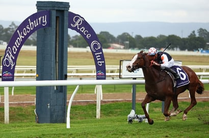 Hawkesbury Racing Tips for October 9 - Perfect Justice is set to win ...