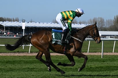 I Am Maximus Grand National 2026 Odds and Betting