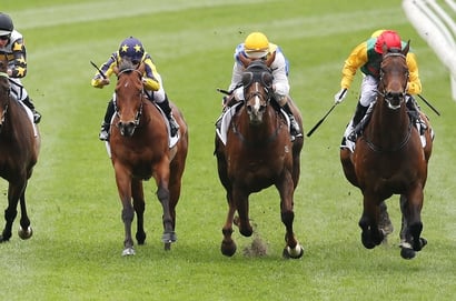 Kyneton Racing Tips for December 11- Promising Price/Kent Jnr galloper ...