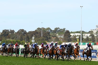 2025 Melbourne Cup Field & Runners – Runner-By-Runner Guide for Flemington