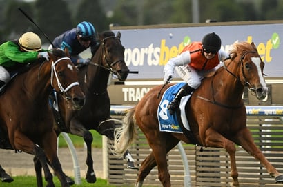 Mornington Blackbookers and horses to follow from April 19