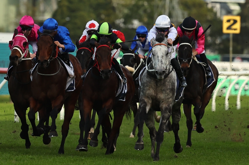 Tamworth Racing Tips for July 18 - Considered looks weighted & gated to win