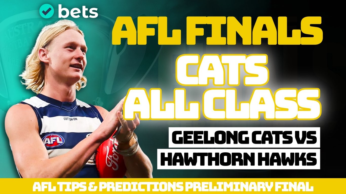 Geelong Cats vs Hawthorn Hawks AFL Preliminary Final Tips - Geelong to ...