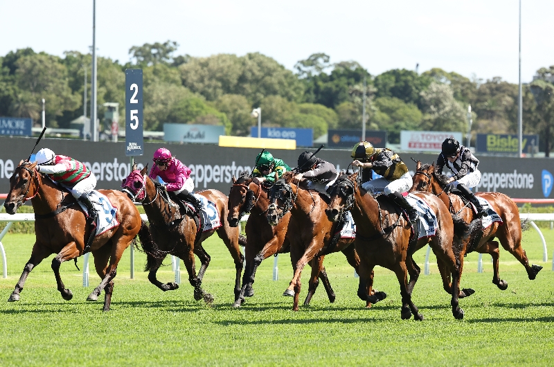 Randwick Racing Tips for January 24 - Whinchat can go back-to-back